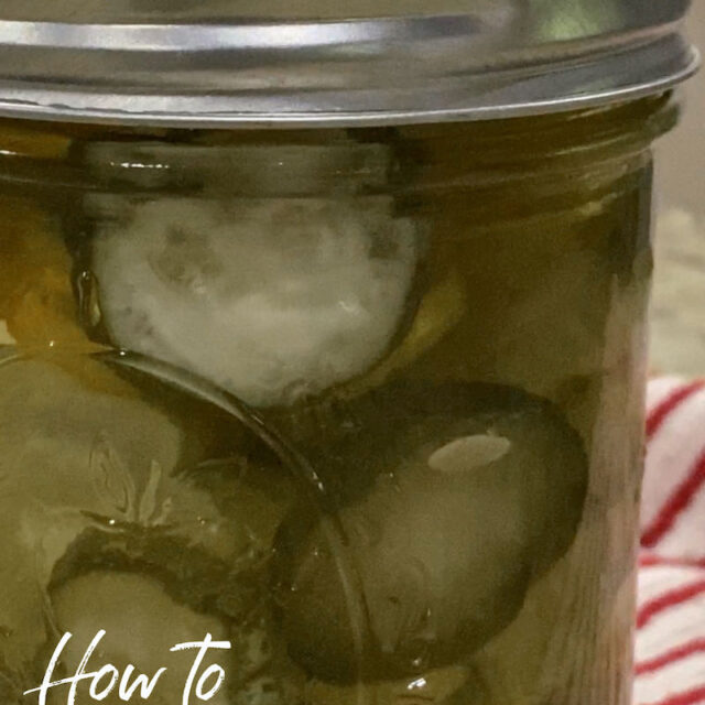 2 Ingredient Fruit Fly Trap DIY (That Works!) - The Novice Homestead